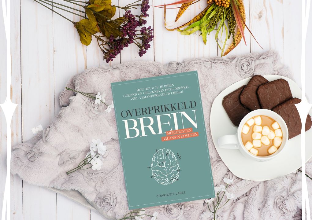 Overprikkeld brein boek van Charlotte Labee - Lijf en Lijn Overprikkeld brein boek van Charlotte Labee - Lijf en Lijn